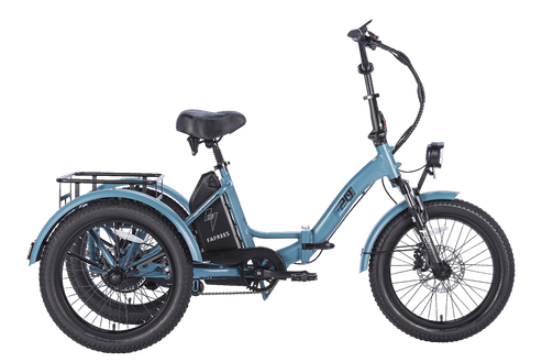Fafrees F20 Mate Electric Trike: City, Fat Tire, Cargo Ebike, Samsung ...