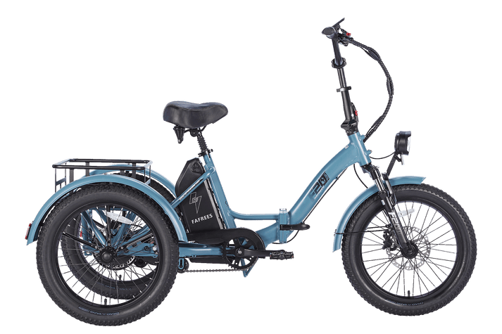Fafrees F20 Mate Electric Trike: City, Fat Tire, Cargo Ebike, Samsung ...
