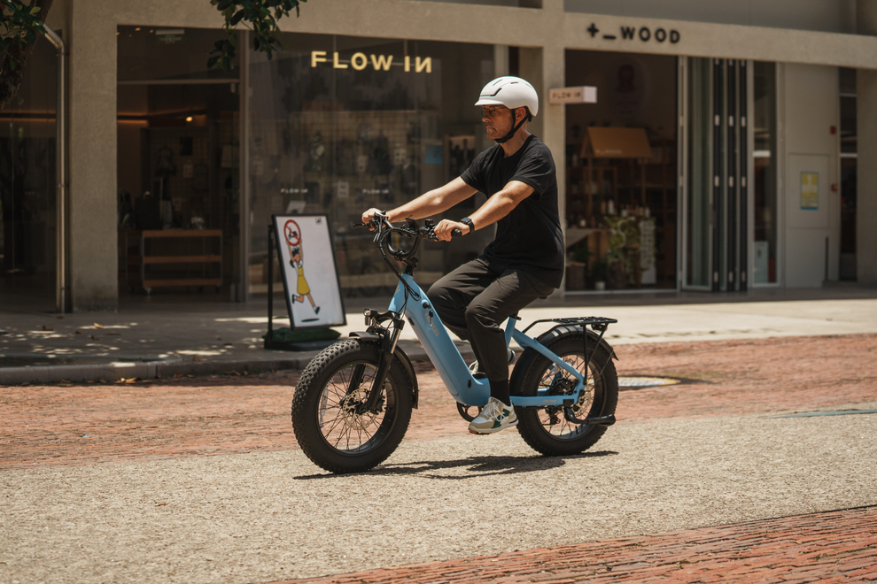 Fafrees F20 Rover Compact Fat Tire Electric Bike | 250W 55Nm Motor ...