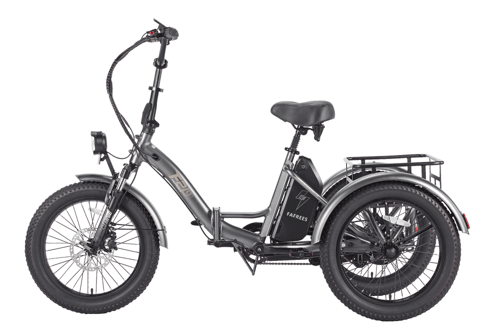 Fafrees F20 Mate Electric Trike: City, Fat Tire, Cargo Ebike, Samsung ...