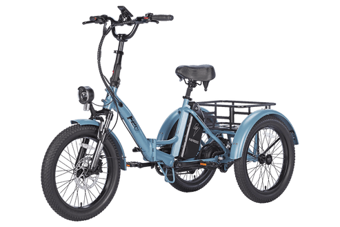 Fafrees F20 Mate Electric Trike: City, Fat Tire, Cargo Ebike, Samsung ...