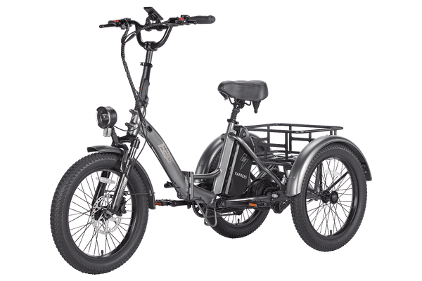 Fafrees F20 Mate Electric Trike: City, Fat Tire, Cargo Ebike, Samsung ...