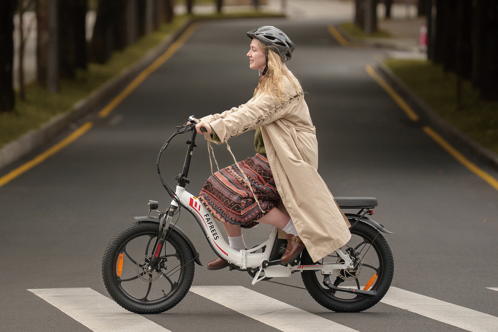 Fafrees F20 Ebike | City, Fat Tire, Step-Thru & Folding Electric Bike ...