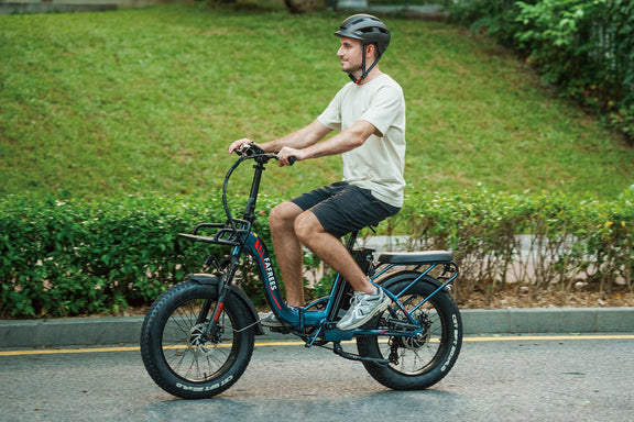 Fafrees F20 Max Ebike: City, Fat Tire, Step-Thru, Folding - 20 Zoll ...